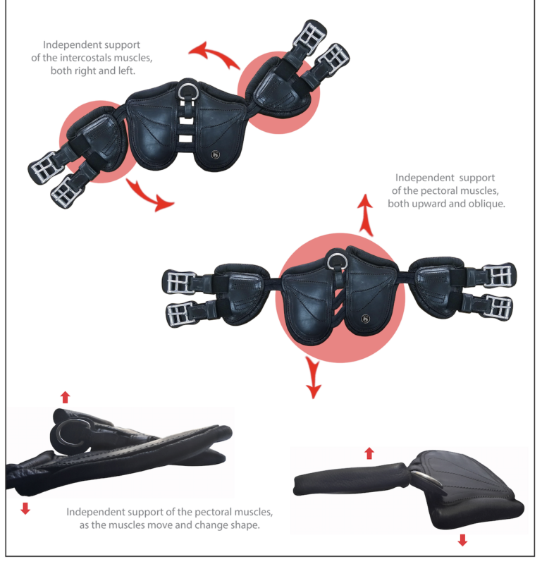 The Scharf Freedom Girth - The Centre Line - Blog Update