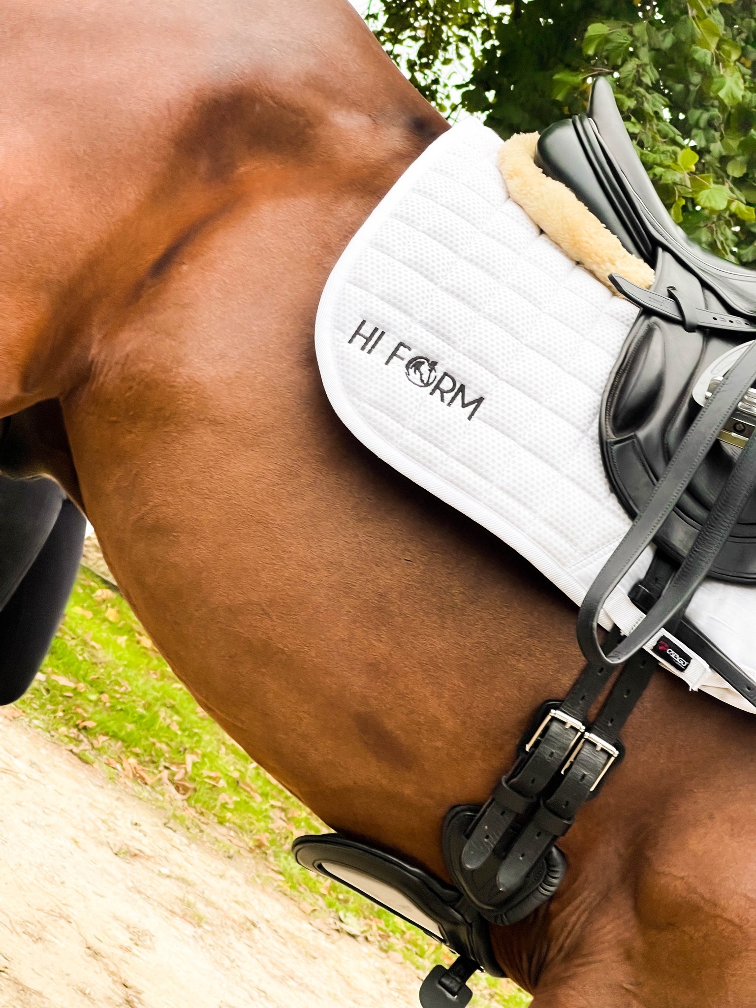 Troubleshooting the Scharf Girth - The Centre Line